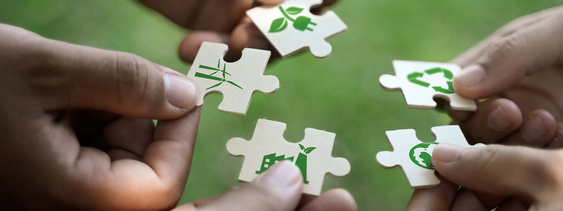 Sustainability - OSJL Inspires